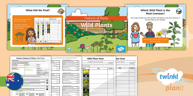 Year 1 Science Features of Plants Lesson 2 Wild Plants