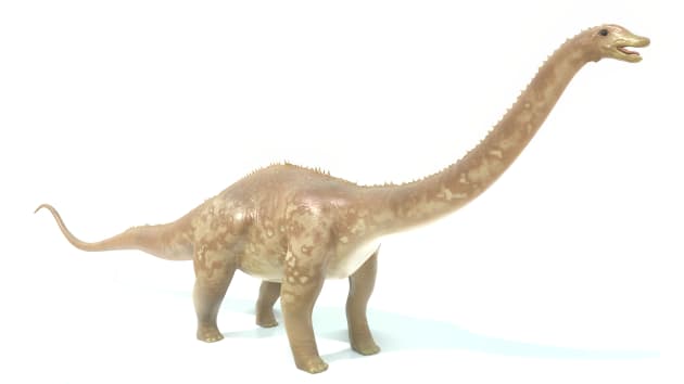 FREE! - Diplodocus AR Quick Look Model