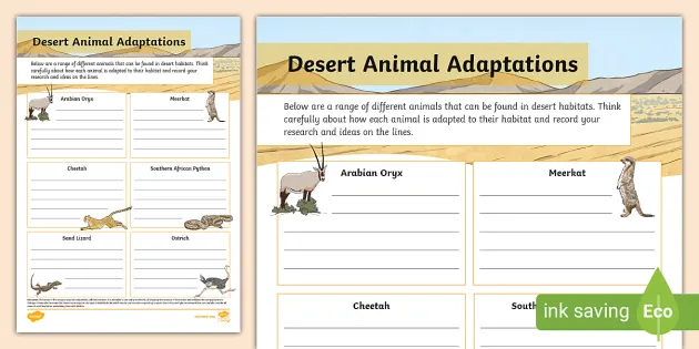 Desert Animal Adaptation