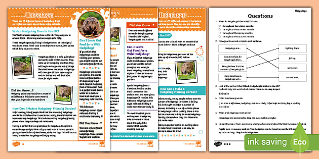 LKS2 Hedgehogs Differentiated Reading Comprehension Activity