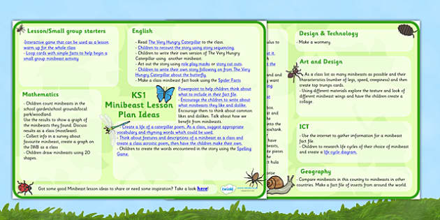 KS1 Minibeast Lesson Plan Ideas (teacher made)