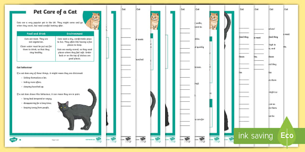 Pet Care of a Cat Differentiated Reading Comprehension Activity