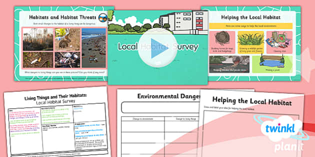Science Living Things | Local Habitat | Year 4 Lesson Pack 5