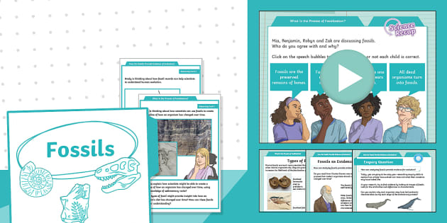Step into Science: Y6: Summer: Block 3: Fossils: Steps 1 to 3