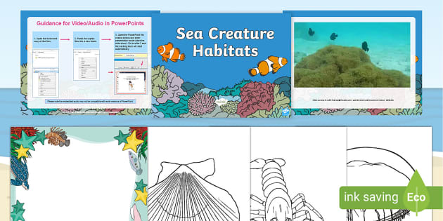 Oceans Resource Pack (Hecho por educadores) - Twinkl