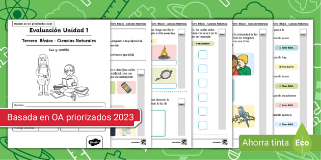 Evaluación Unidad 1 - 3° básico - Ciencias Naturales