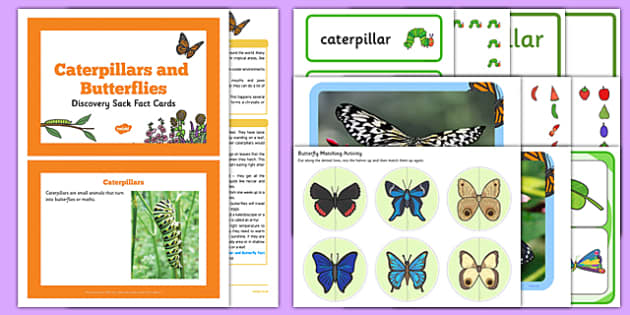 Exploring Nature with Children - May - Twinkl