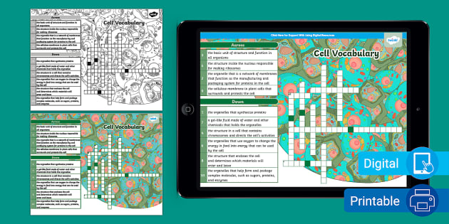 Cell Vocabulary Crossword for 6th-8th Grade - Twinkl