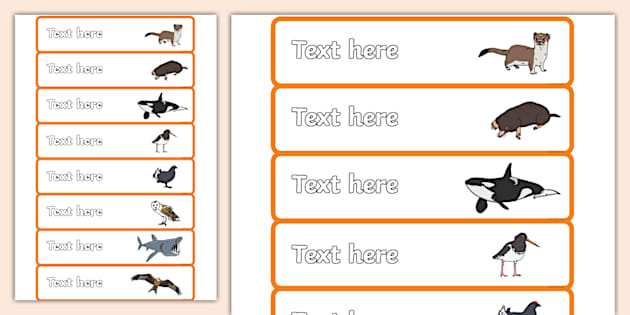 Scottish Wildlife Name Recognition Editable Tray Labels