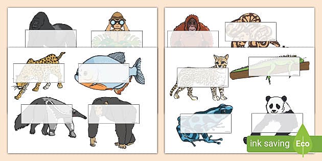 Editable Self-Registration Labels (Jungle & Rainforest)