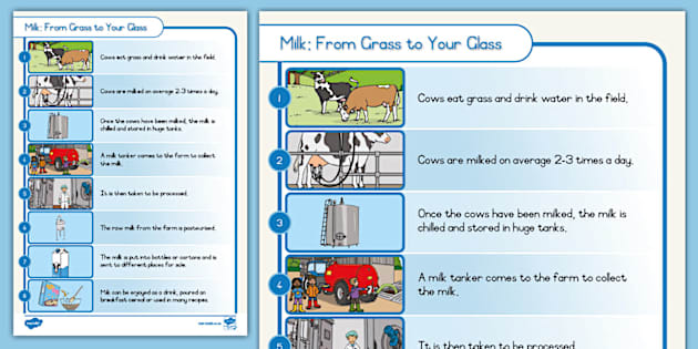 Milk: From Grass to Your Glass - Poster (teacher made)