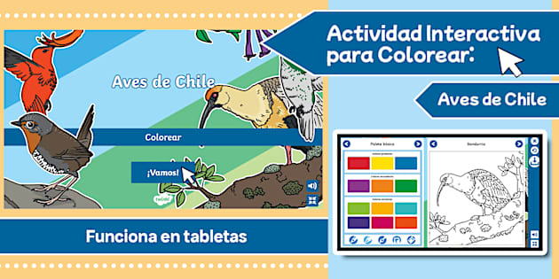 Actividad Interactiva para Colorear: Aves de Chile
