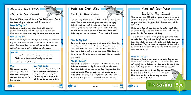 Mako and Great White Shark Reading Comprehension - Twinkl