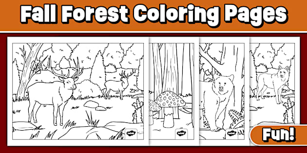 Fall Forest Coloring Pages