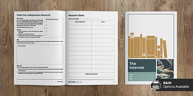 Year 7 Library Activities 3: The Internet | KS3 English