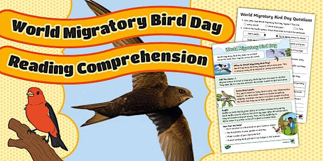 KS1 World Migratory Bird Day Reading Comprehension