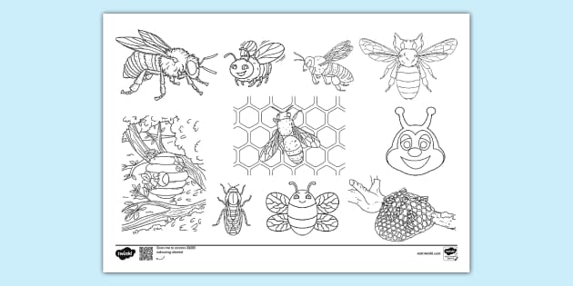 Cute Bee Things Doodle Colouring Page (teacher made)