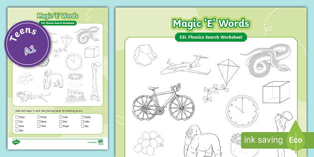 ESL Magic 'E' Words Phonics Search Worksheet (teacher made)