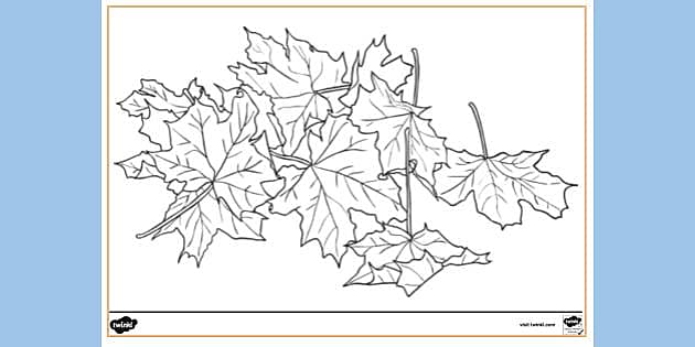 FREE! - Autumn Colouring Page | Colouring Sheets - Twinkl