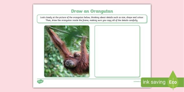 Draw an Orangutan Art Activity,orangutan,orangutan drawing