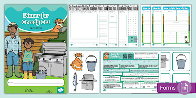 Dinner for Greedy Cat (Turquoise 1) Follow Up-Activity