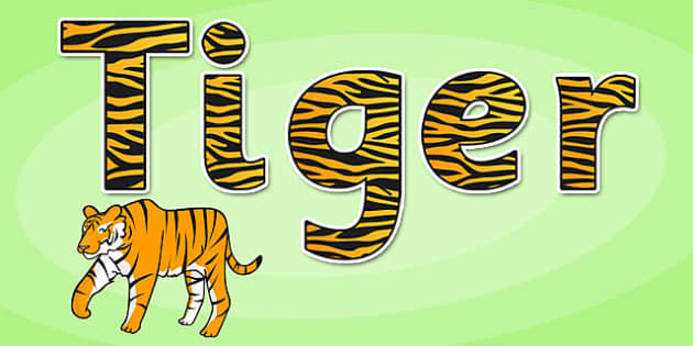'Tiger' Display Lettering