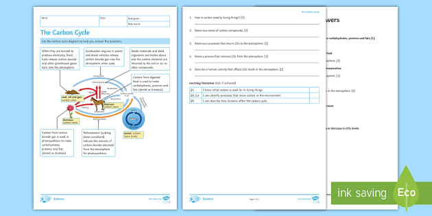KS3 Carbon Cycle Homework Worksheet - carbon dioxide, atmosphere, organic