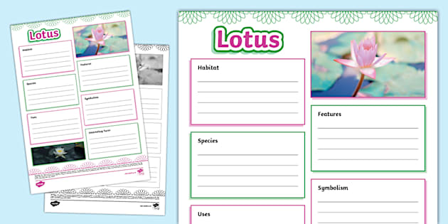 Lotus Fact File Template (nauczyciel wykonał) - Twinkl Lotus Fact File Template (nauczyciel wykonał) - Twinkl
