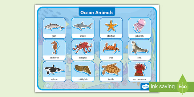 Ocean Animals Word Mat (teacher made) - Twinkl