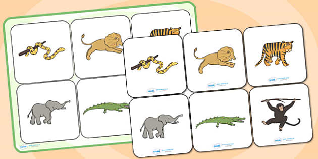 Jungle Animal Themed Matching Cards and Board (teacher made)