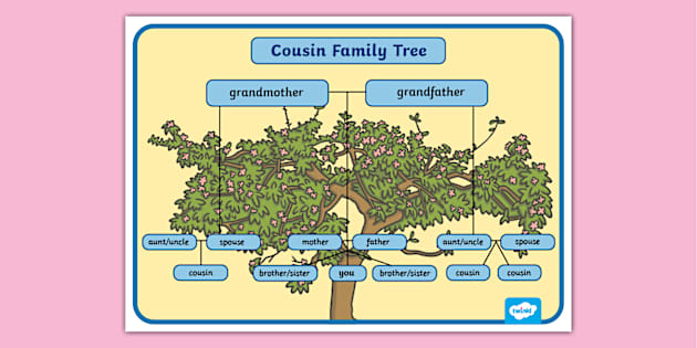 Cousin Family Tree Example Display Poster (teacher made)