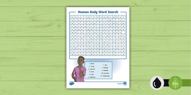 Human Body: Major Organs Word Search (teacher made) - Twinkl