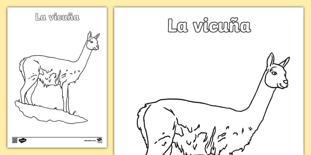 vicuna coloring page