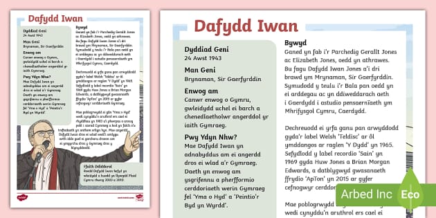 Ffeil Ffeithiau Dafydd Iwan (Teacher-Made) - Twinkl