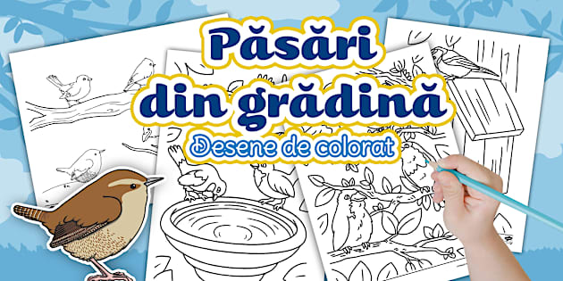 Păsări din grădină – Desene de colorat