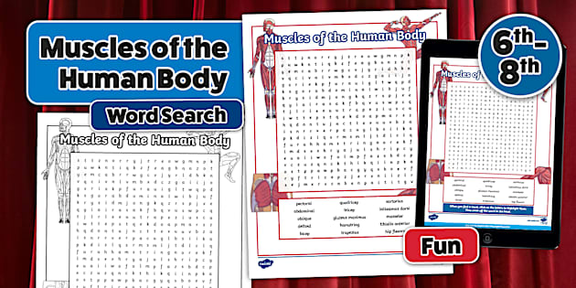 Muscular System Word Search for Grades 6th-8th - Twinkl
