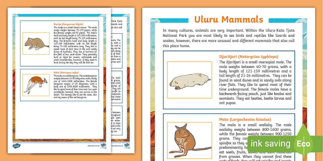 Uluru Mammals Fact File (teacher made) - Twinkl