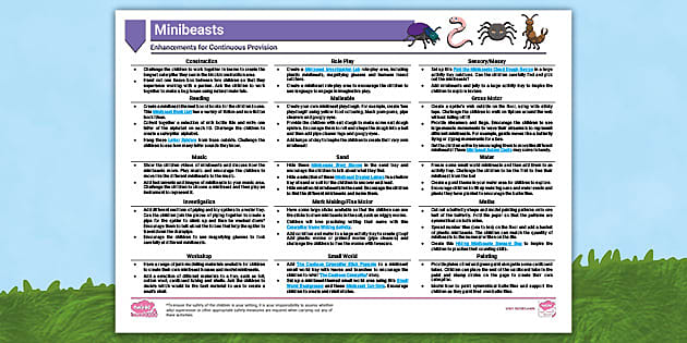EYFS Minibeasts Continuous Provision Ideas (Ages 2-4)EYFS Minibeasts