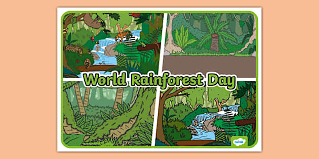 World Rainforest Day Display Poster (Lehrer gemacht)