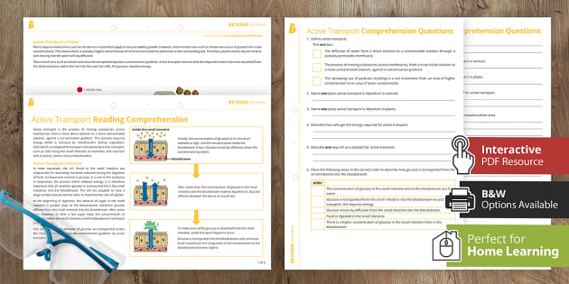 Active Transport Reading Comprehension | Beyond - Twinkl