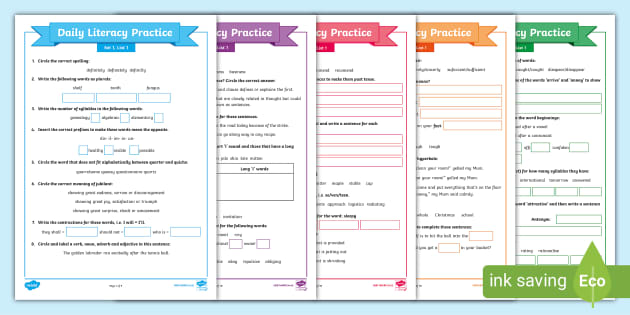 Level 4 - Daily Literacy Practice (teacher made)