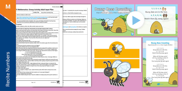 EYFS Maths: Buzzy Bee Counting Song to 10 Adult Input Plan