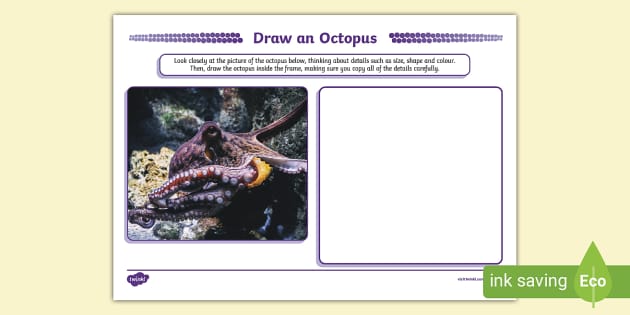 Draw an Octopus Art Activity,octopus (teacher made) - Twinkl