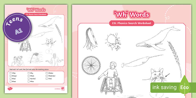 ESL 'Wh' Words Phonics Search Worksheet (teacher made)