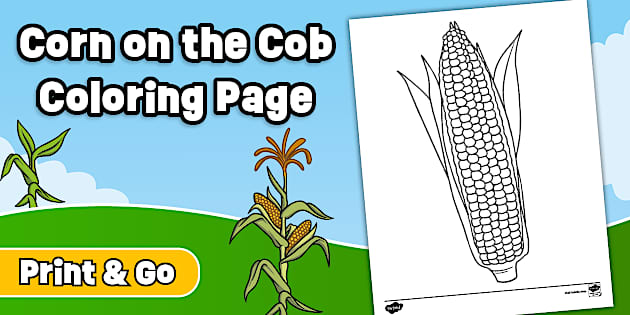 Corn Cob Coloring Page