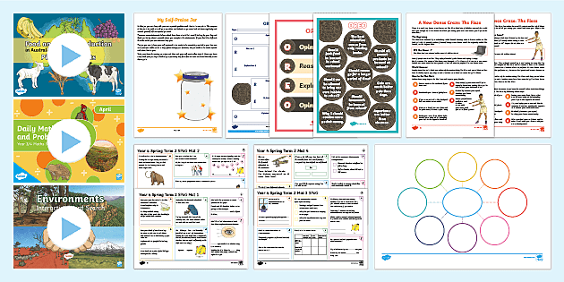 Year 4 Term 2 Week 9 Remote Home Learning Pack - Twinkl