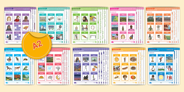 ESL Curriculum Supplementary Printable Materials [Level 6]