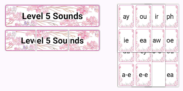 Singapore Orchid Phonics Sound Cards (teacher made) - Twinkl