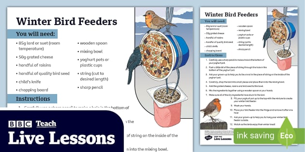 FREE! - BBC Teach Live Lesson -Big Schools’ Winterwatch 2023 Bird Feeders