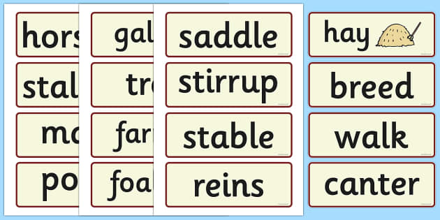 Horses and Ponies Word Cards (nauczyciel wykonał) - Twinkl